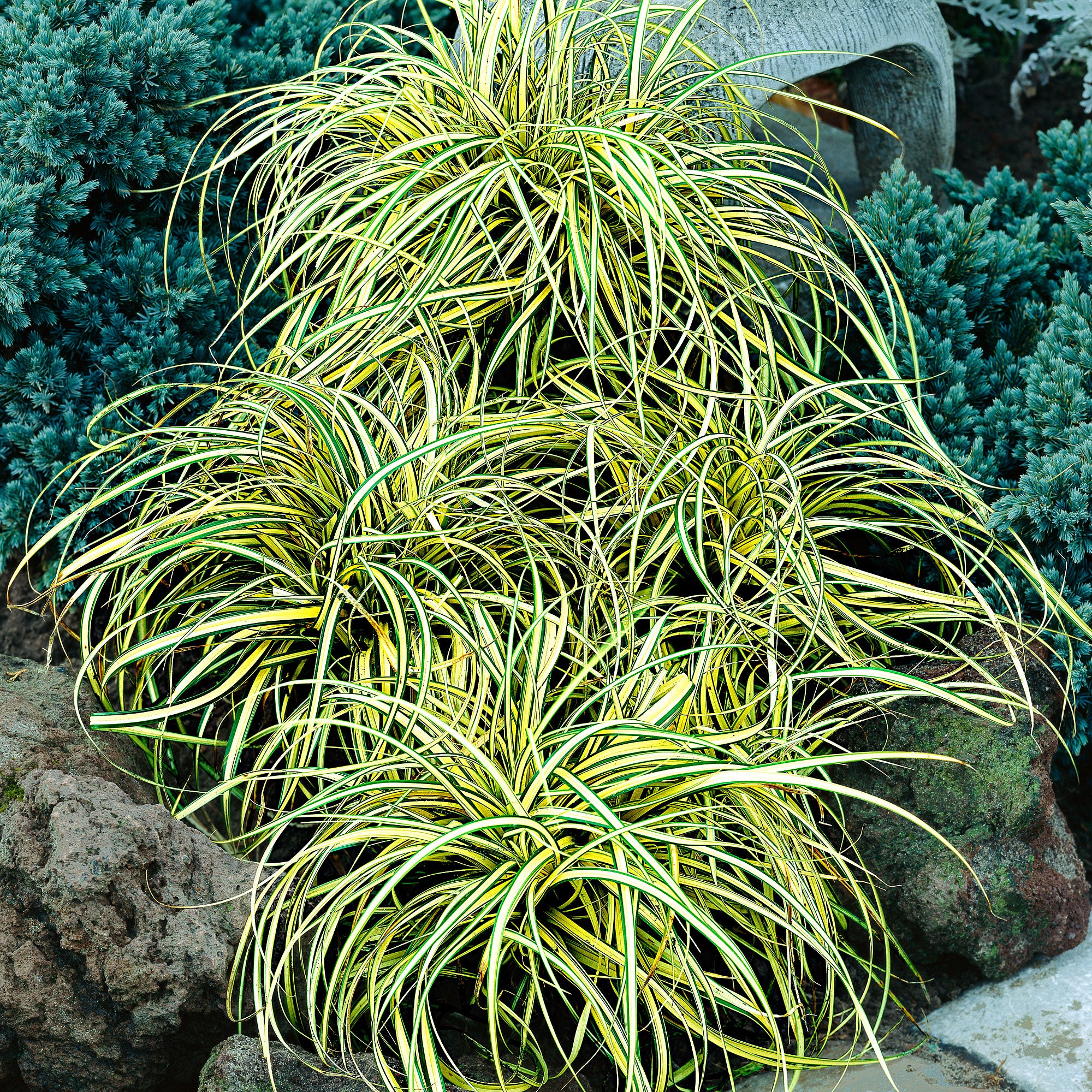 Collections – Bakker.com