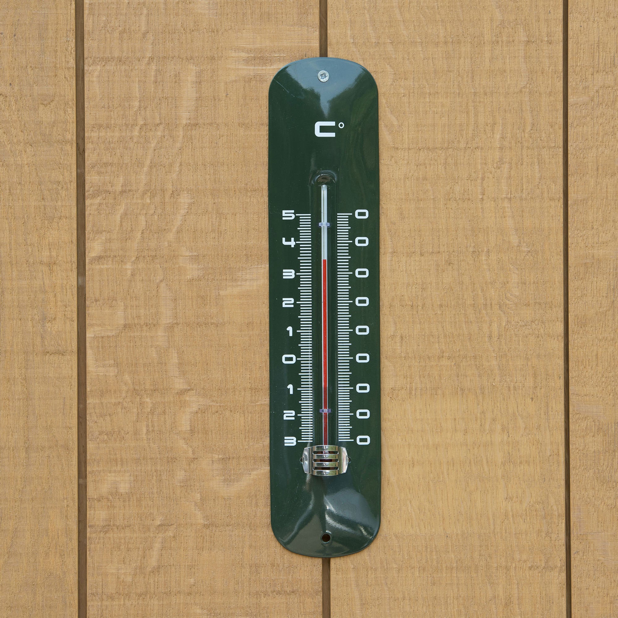 Buy Nature Wall thermometer, metal Green | Bakker.com