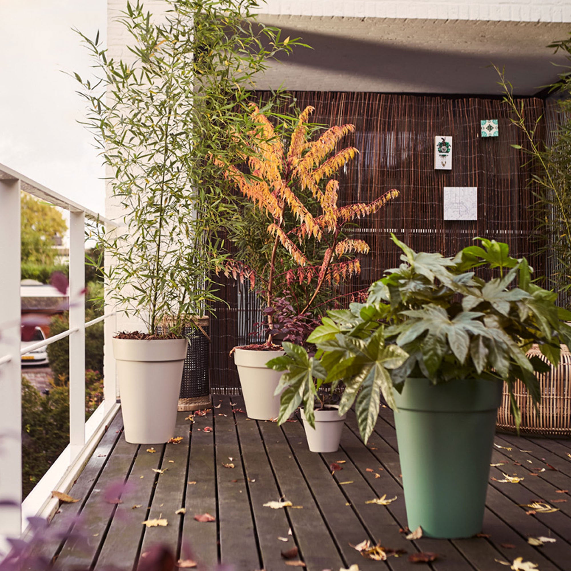 Buy Elho tall flower pot Loft urban round grey - Outdoor pot | Bakker.com