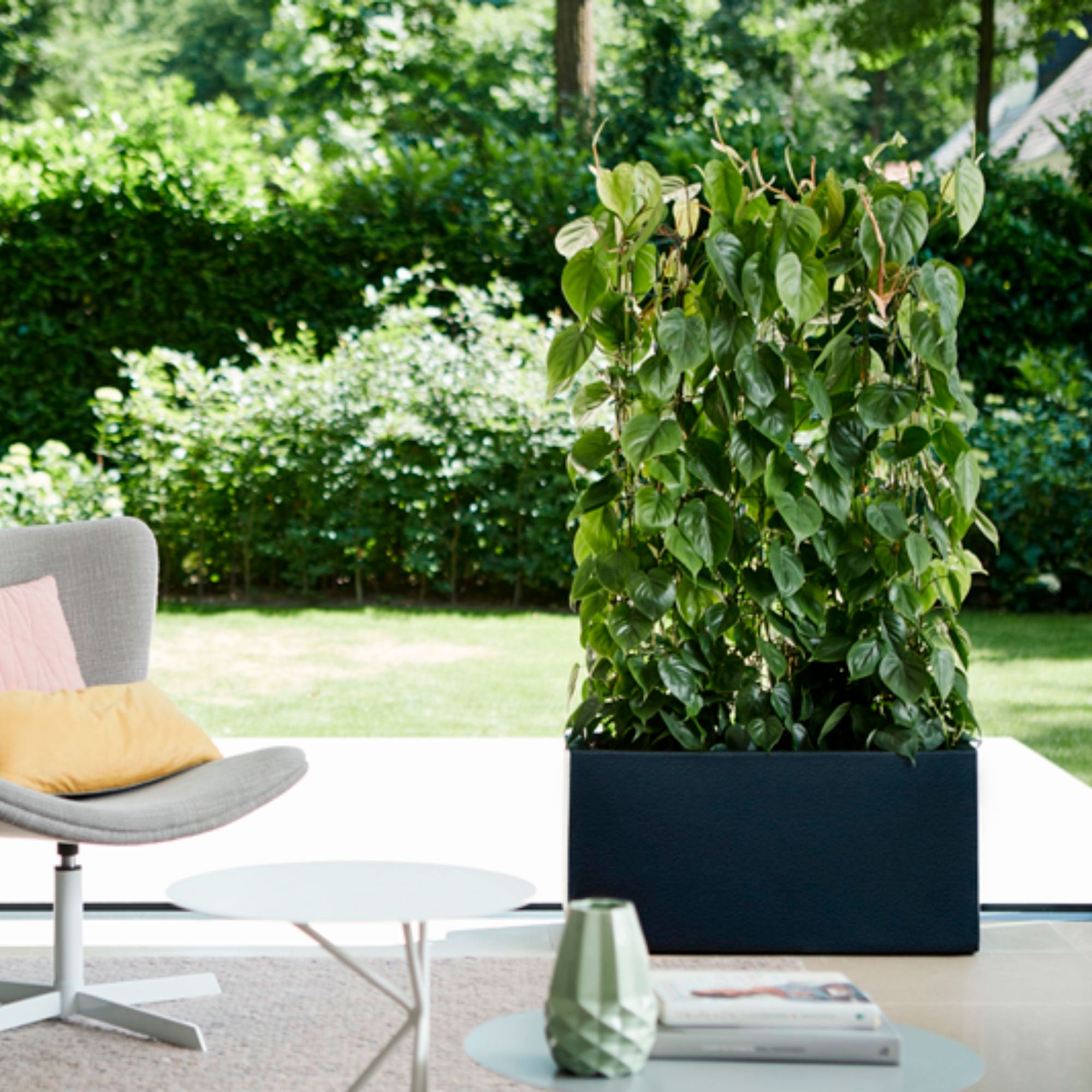 Buy Elho planter Vivo Matt Finish rectangular black including wheels ...