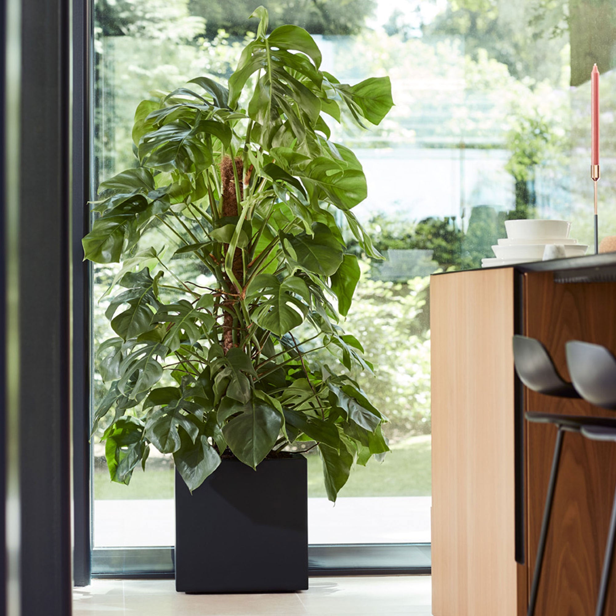 Buy Elho planter Vivo next Matt Finish - including wheels - Black ...