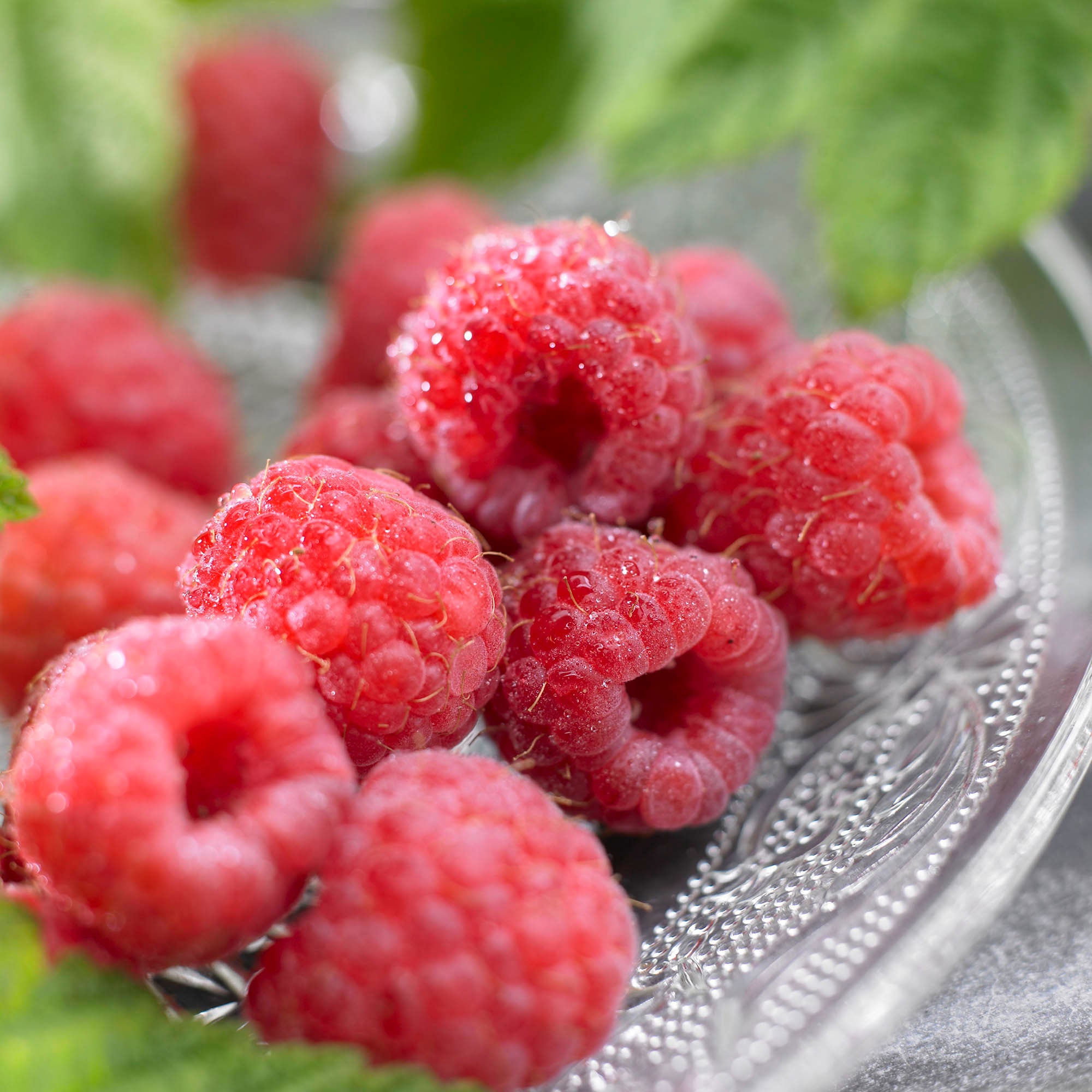 Buy Raspberry Rubus idaeus 'Malling Promise' - Organic red - Hardy ...