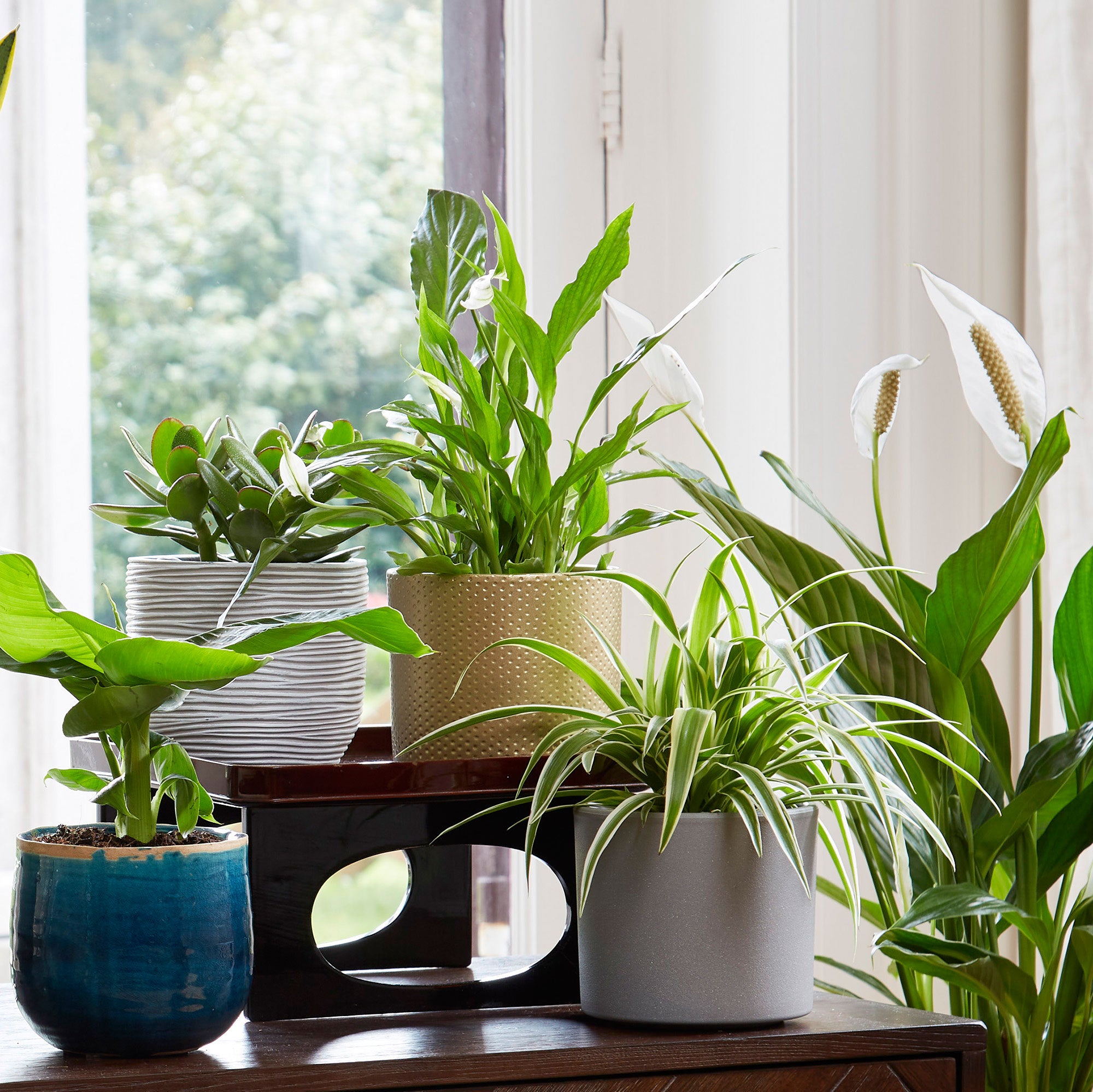 Buy Mica flower pot Era round gold relief - Indoor pot | Bakker.com