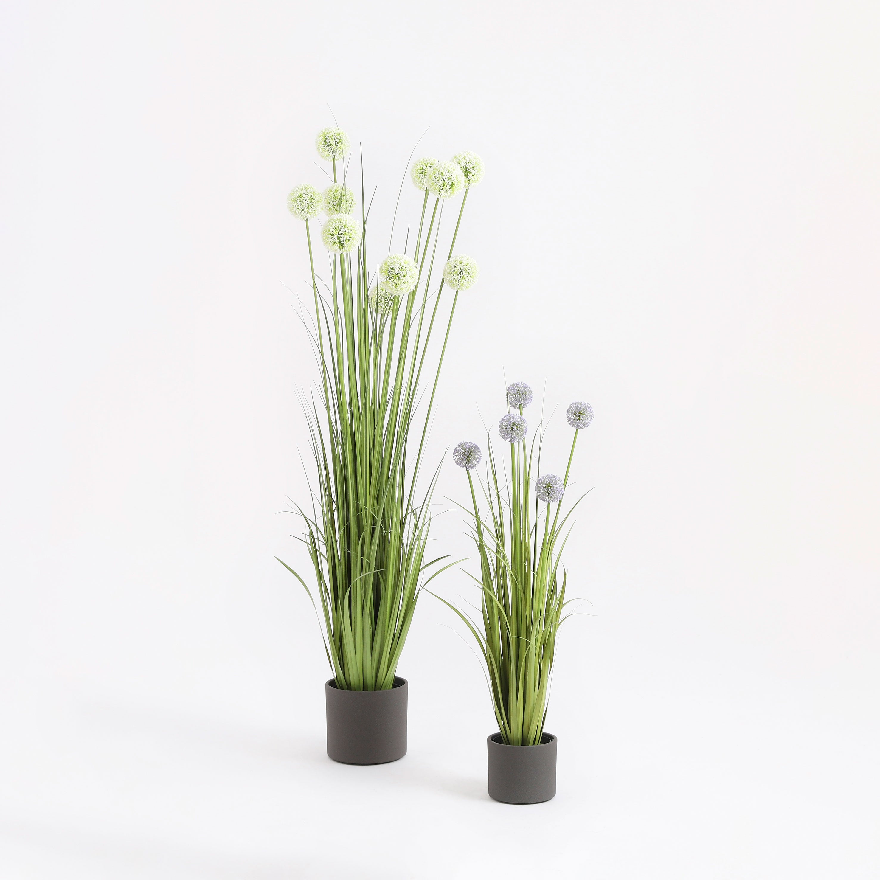 Buy Mica flower pot Era round anthracite - Indoor pot | Bakker.com