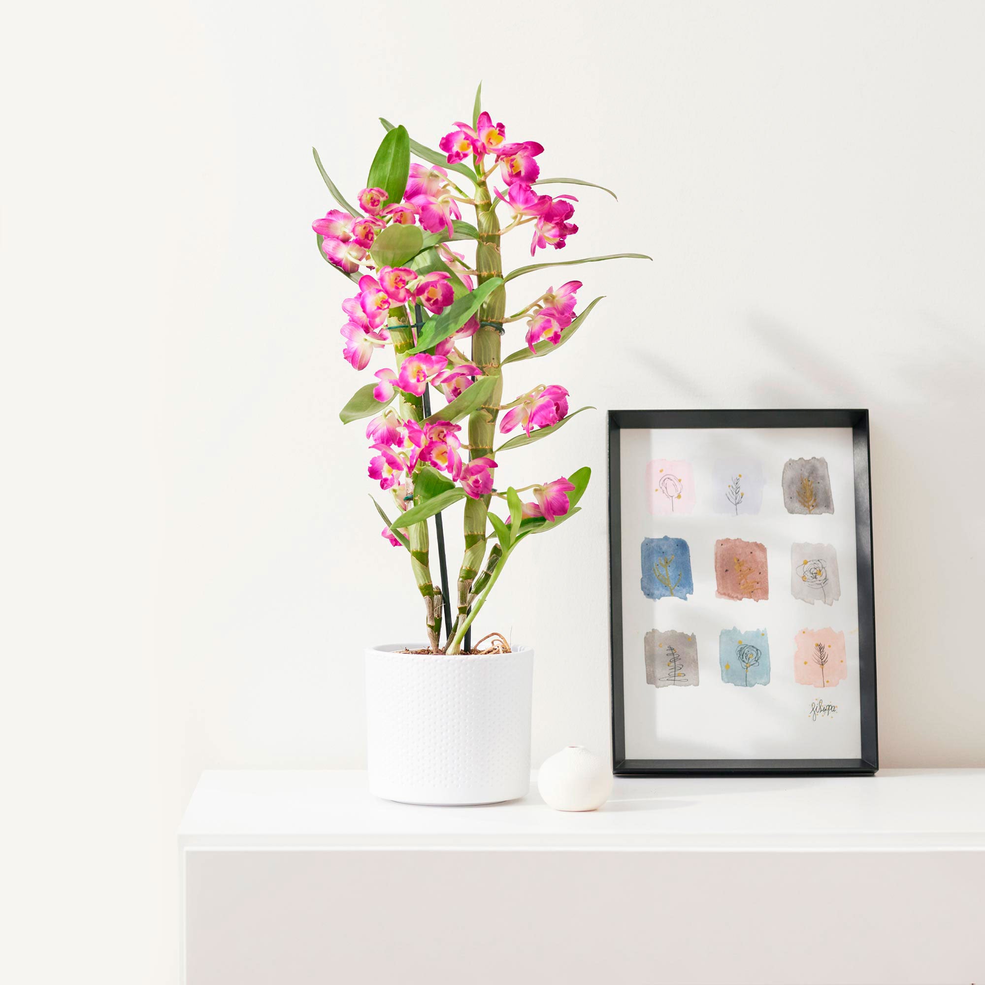 Buy Mica flower pot Era round white relief - Indoor pot | Bakker.com
