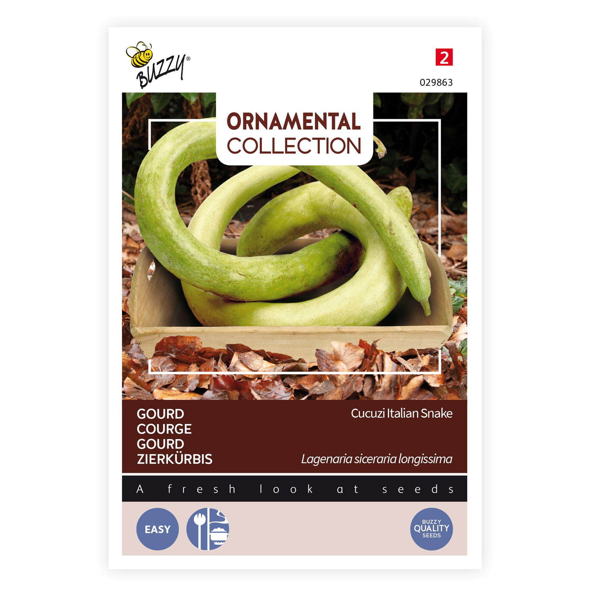 Buy vegetable seed now Squash Lagenaria 'Cucuzi Italian Snake' green 6 ...