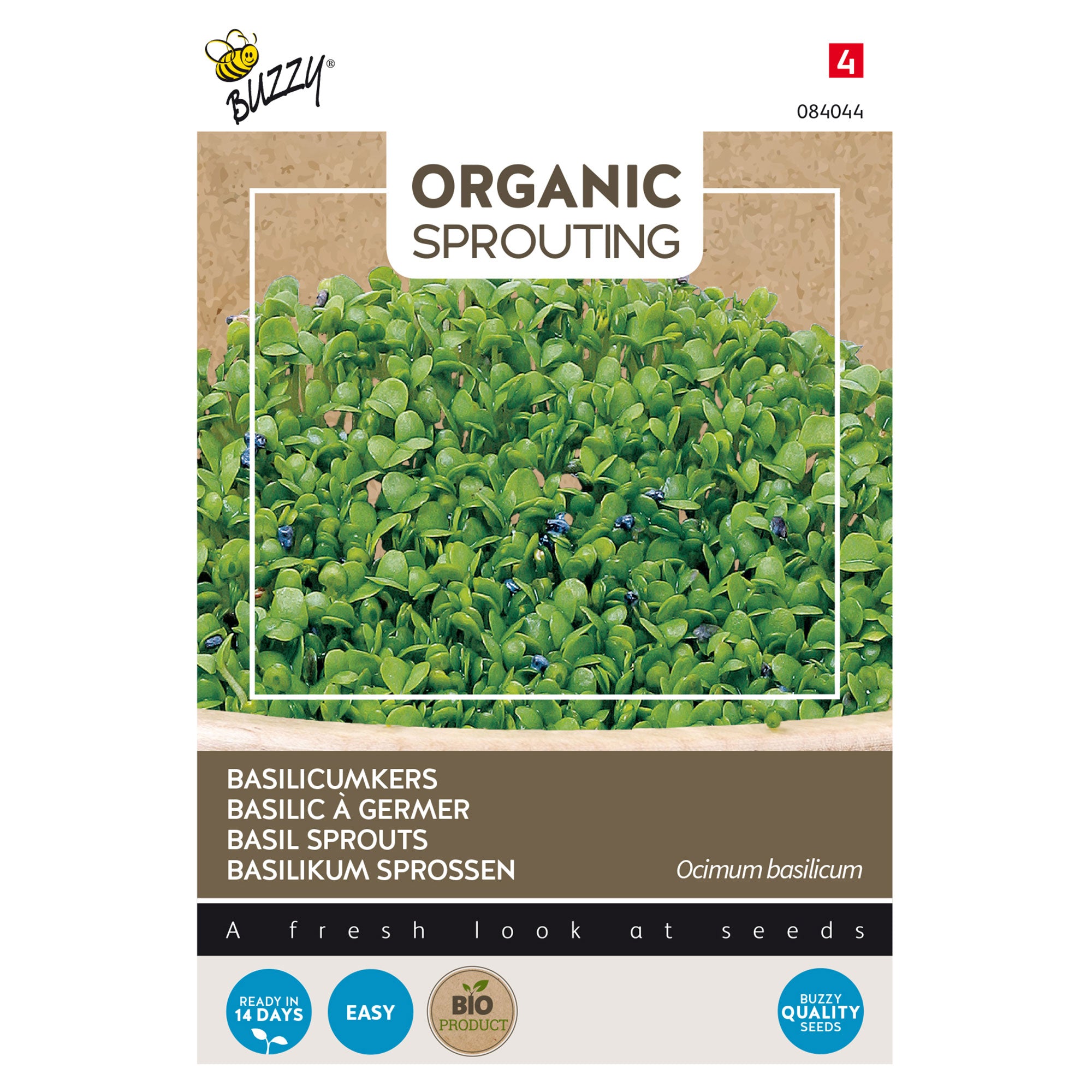 Buy herb seed now Basil Ocimum basilicum - Organic - Herb seeds ...