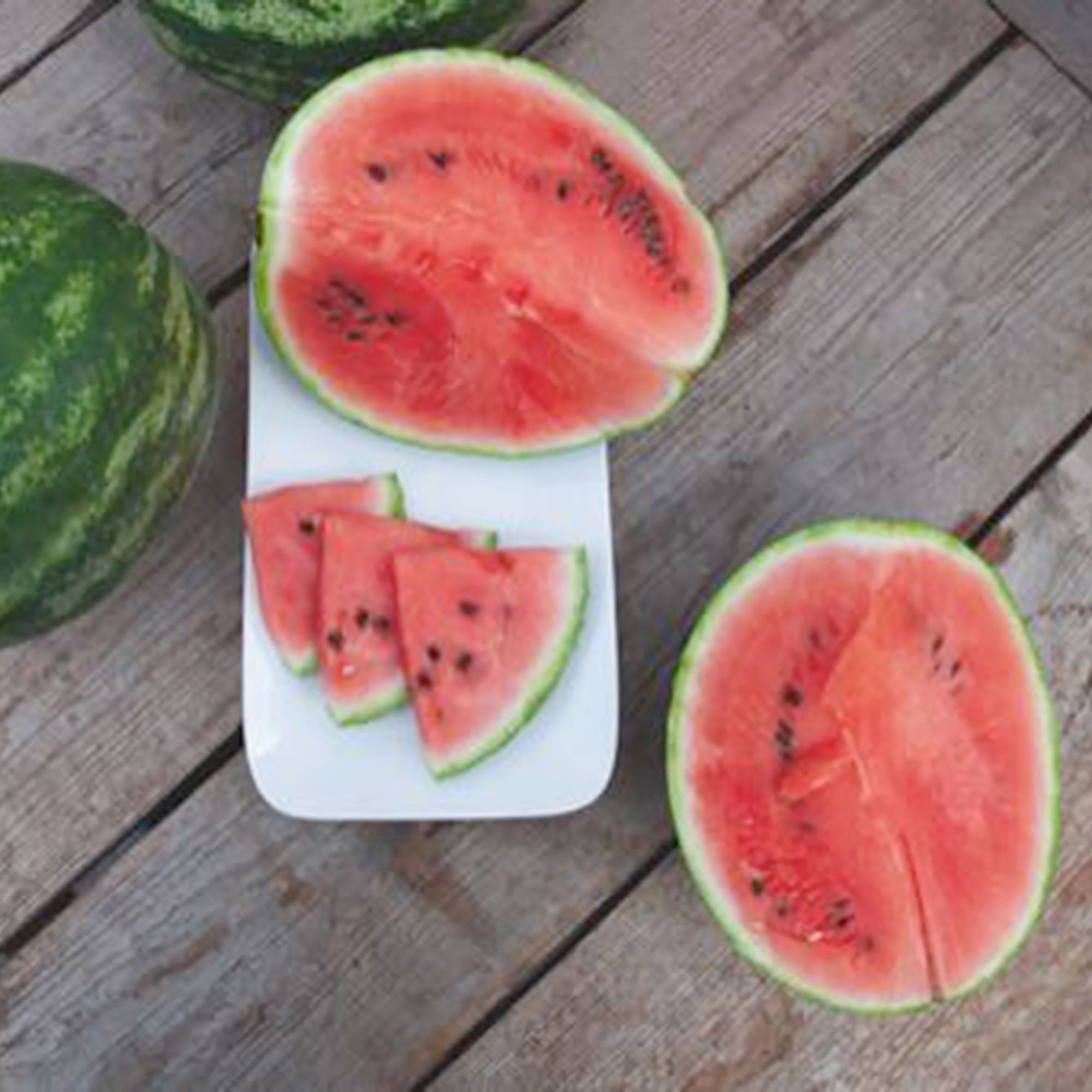 Buy fruit seed now Watermelon Citrullus 'Crimson Sweet' - Organic 10 m² ...
