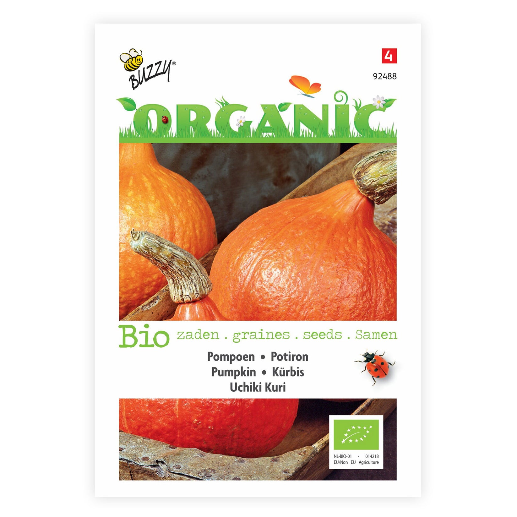 Buy vegetable seed now Squash Cucurbita 'Uchiki Kuri' - Organic 6 m² ...