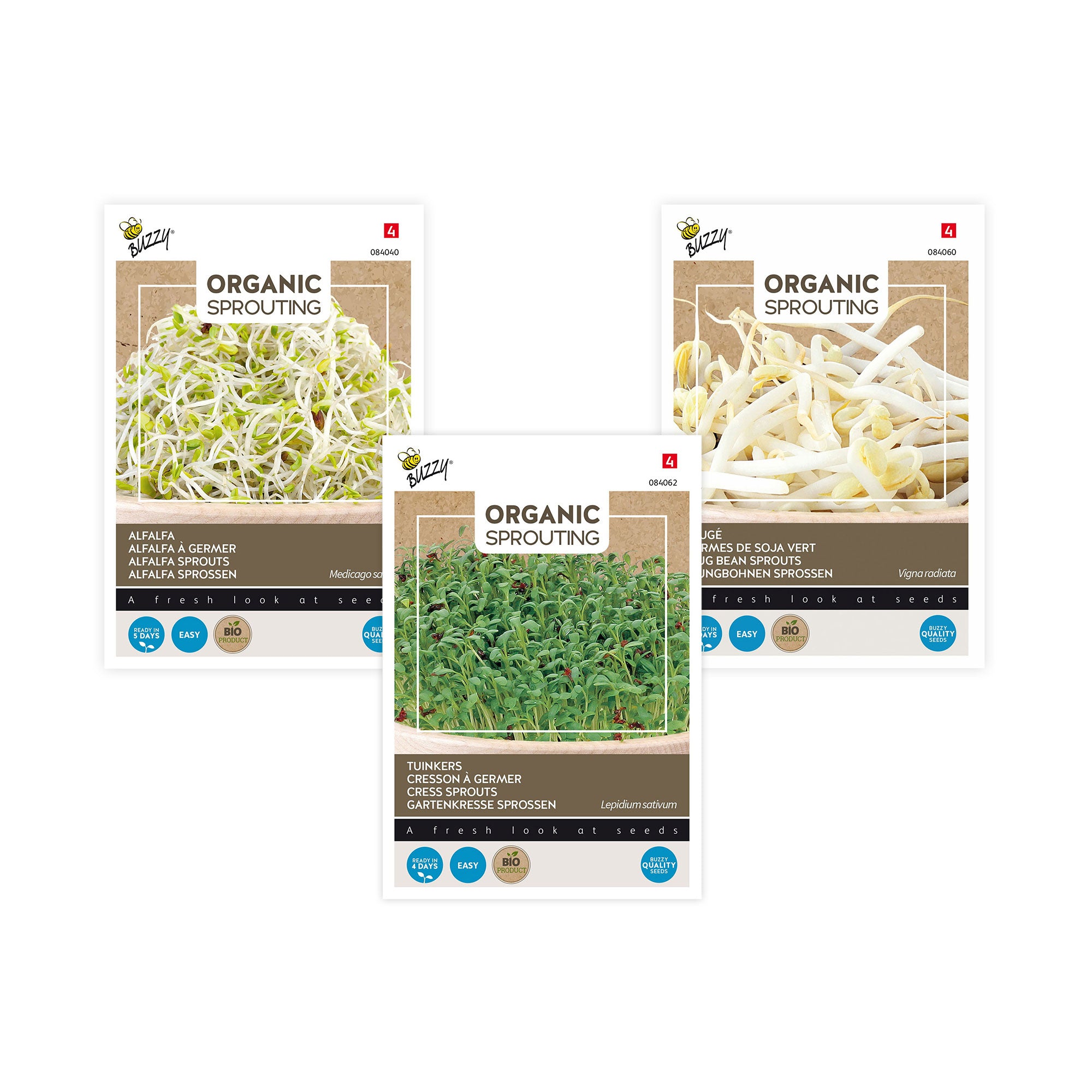 Buy vegetable seed now Sprout package 'Sprouting Strong' - Organic ...