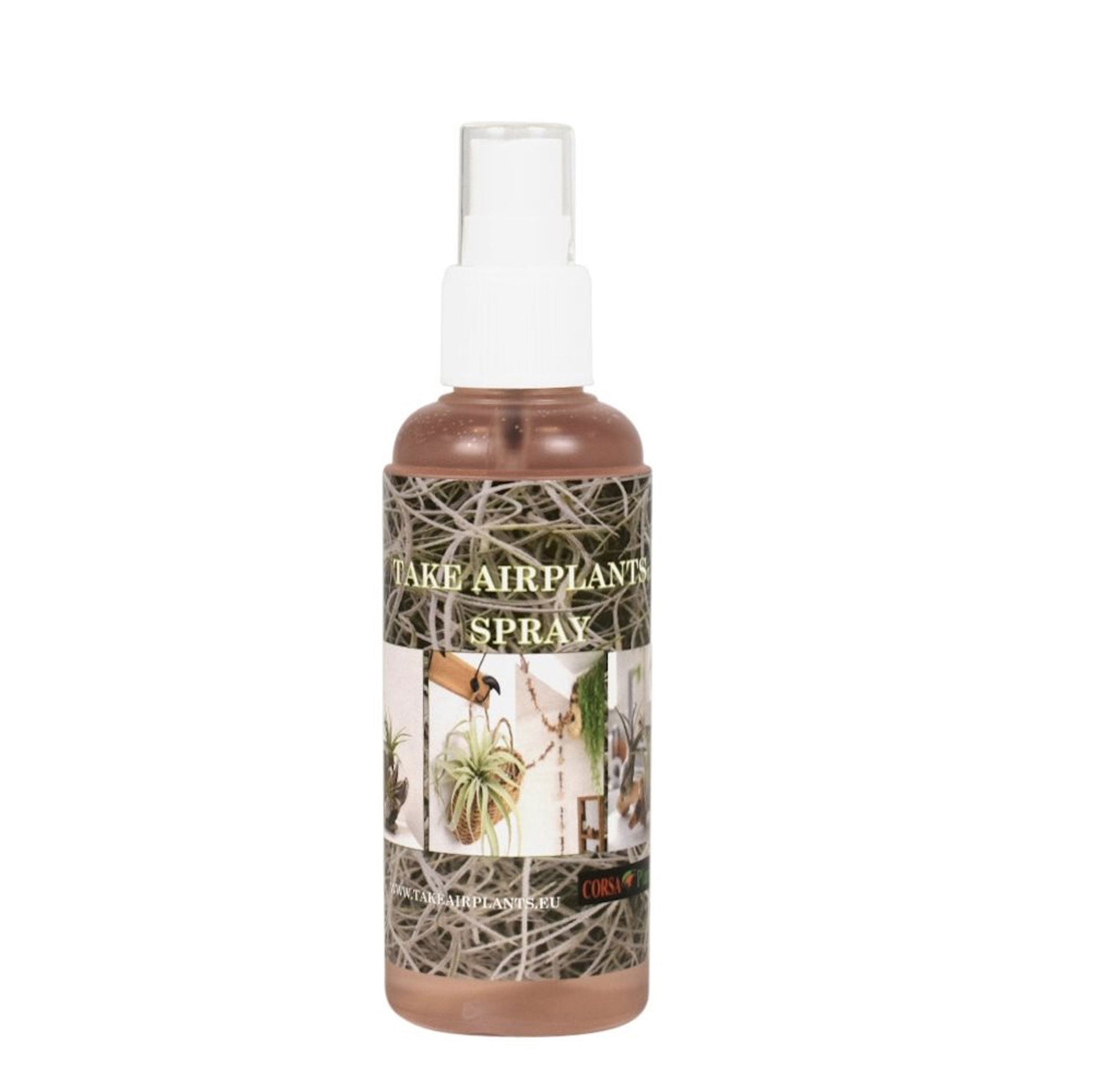 Buy Tillandsia Spray | Bakker.com