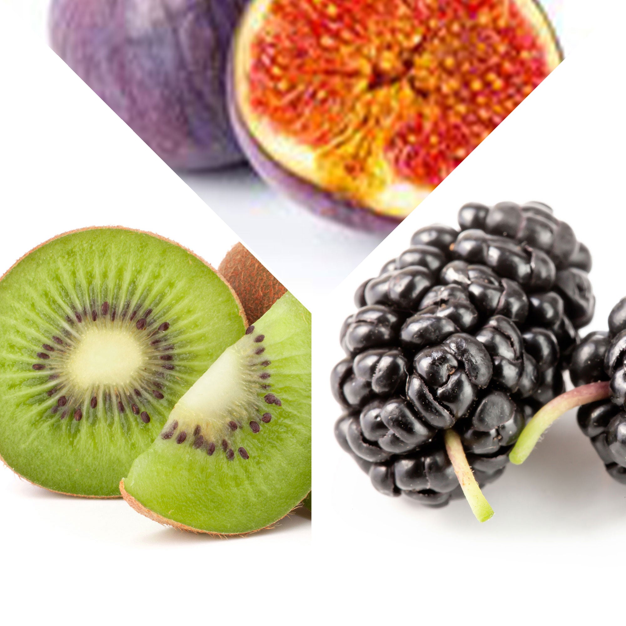 Buy 3x Mulberry 'Mulle', fig tree 'Perretta', kiwi 'Jenny' - Mix ...