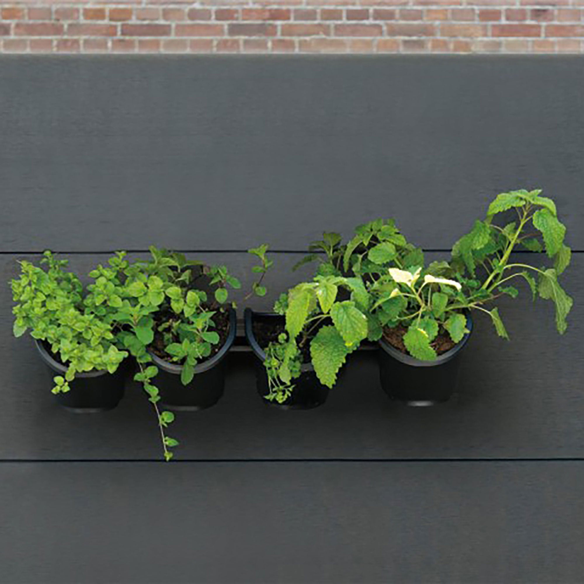 Buy Nature Vertical gardening starter set | Bakker.com