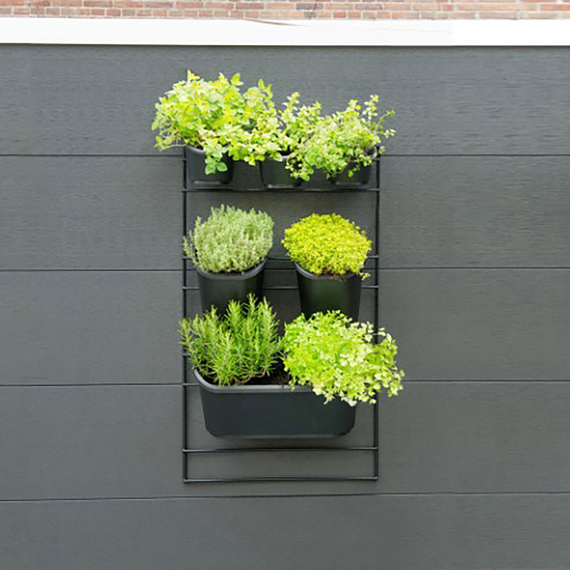 Buy Nature Vertical gardening set | Bakker.com