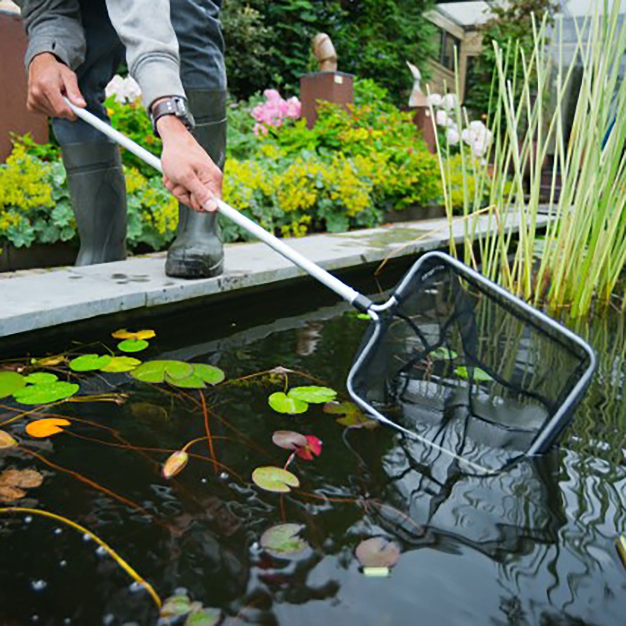 Buy Scoop net rectangular | Bakker.com