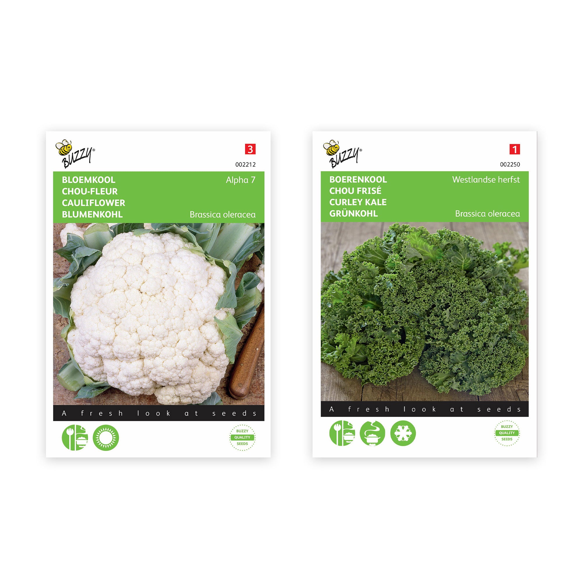 Buy vegetable seed now Cabbage package 'Commanding cabbage' 60 m² ...