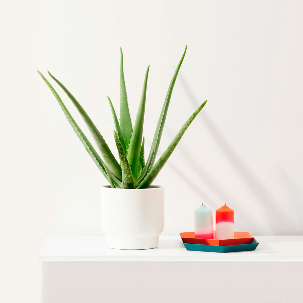 Collections – Bakker.com