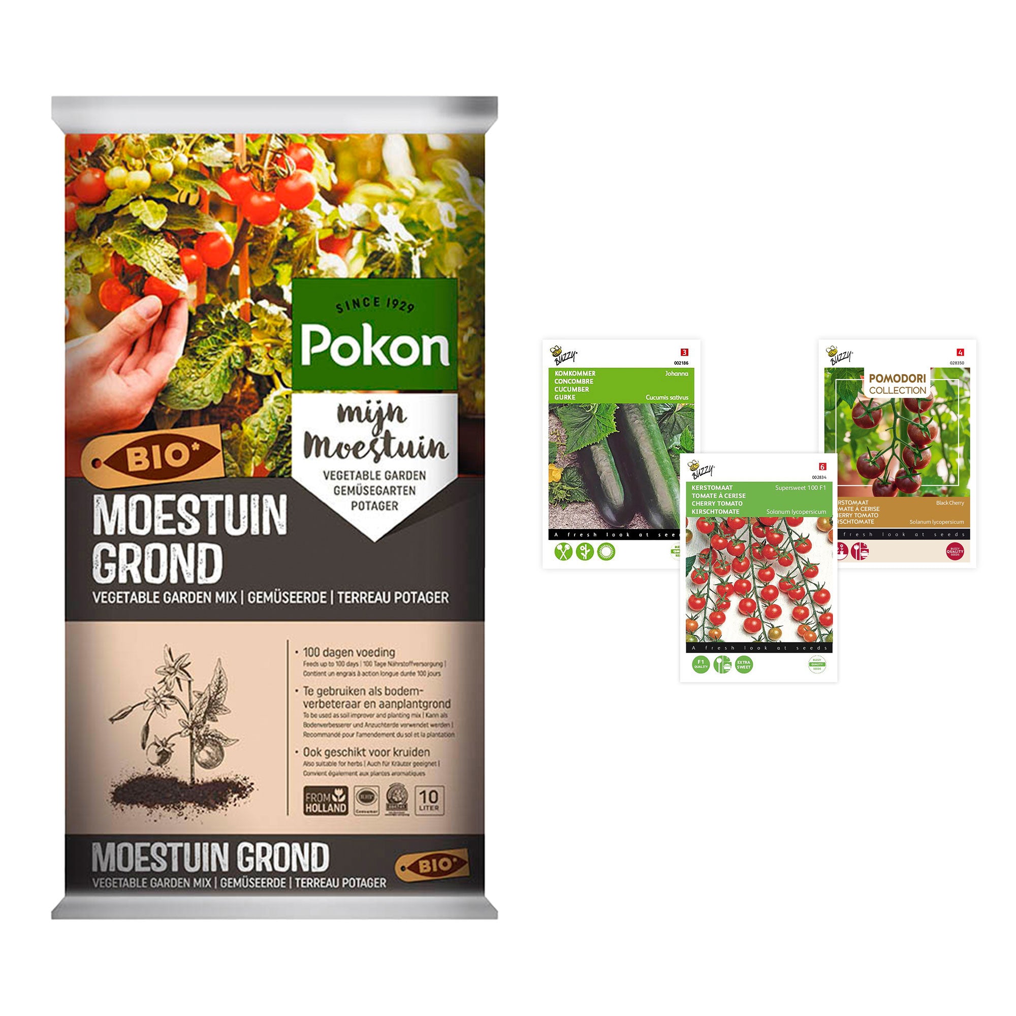 Buy Vegetable gardening packag 'Beautiful plants' | Bakker.com