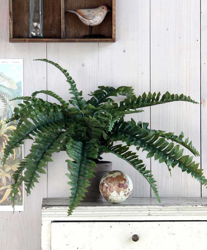 Buy Artificial fern Green | Bakker.com